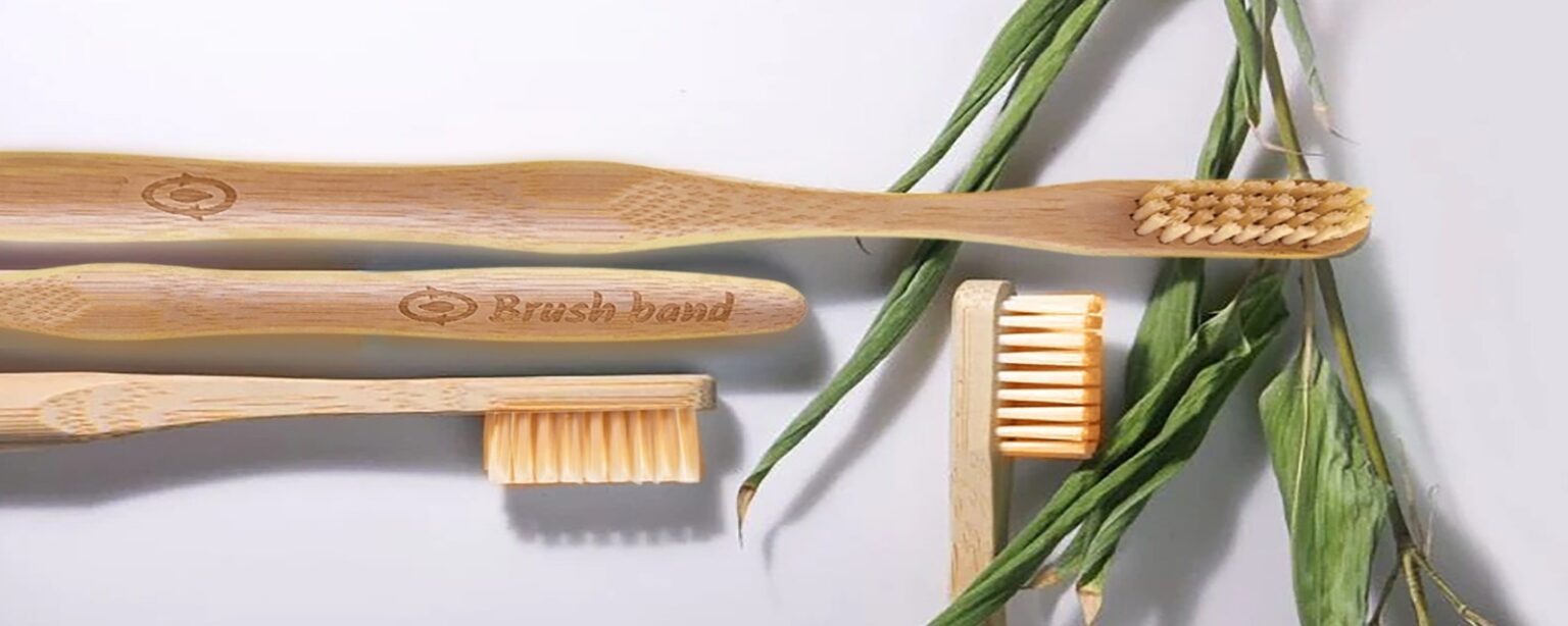 Creative Ideas To Recycle Your Bamboo Toothbrushes